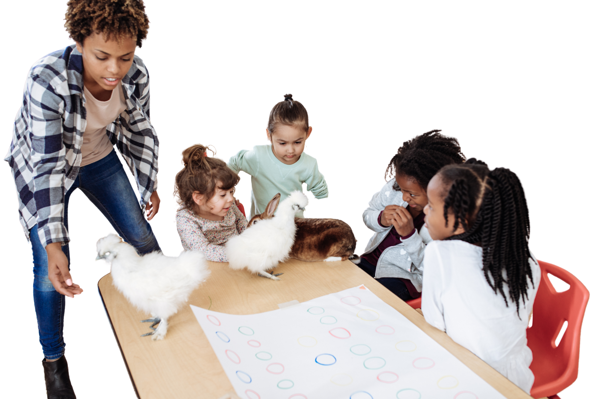 Behavior Management Plans | Insights to Behavior