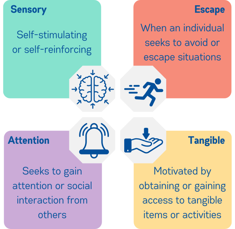 Functional Behavior Assessments | Insights to Behavior